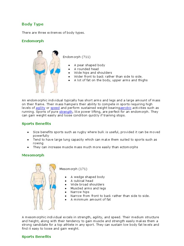 Body Type | PDF | Strength Training | Human Body