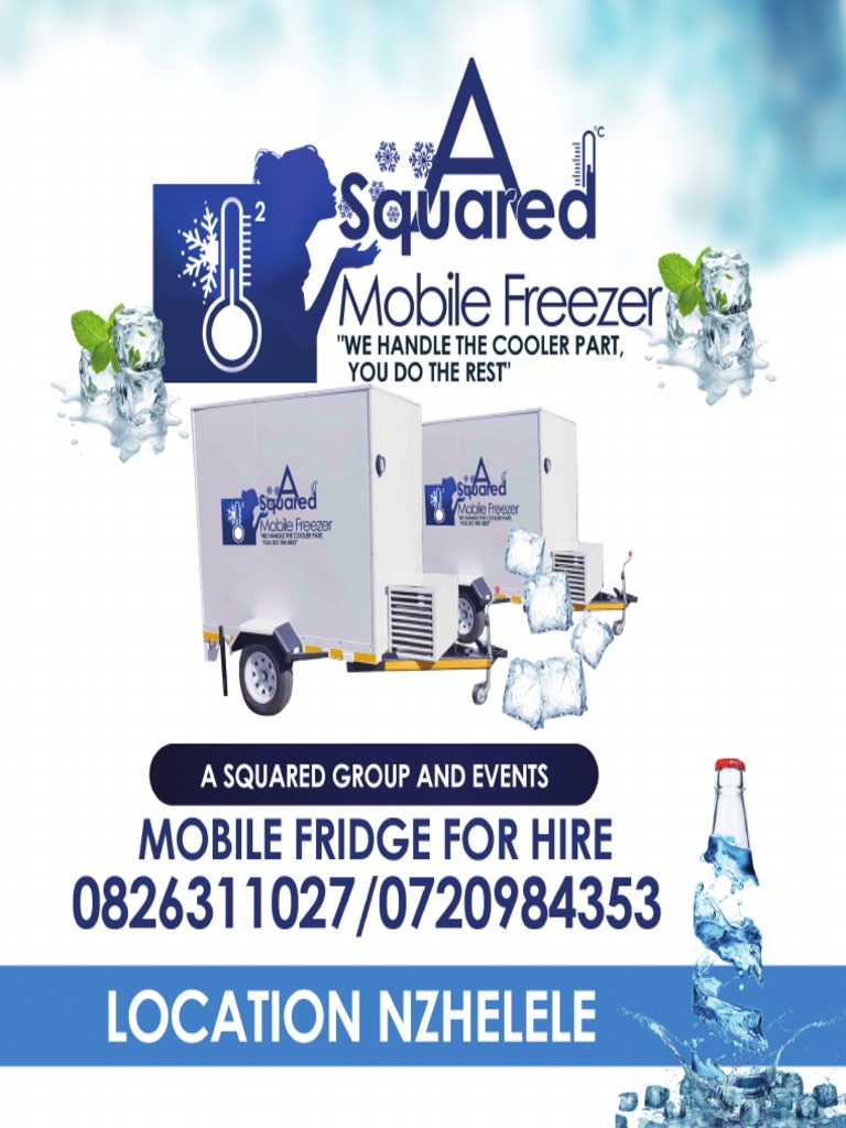 Flyer Mobile Freezer | PDF
