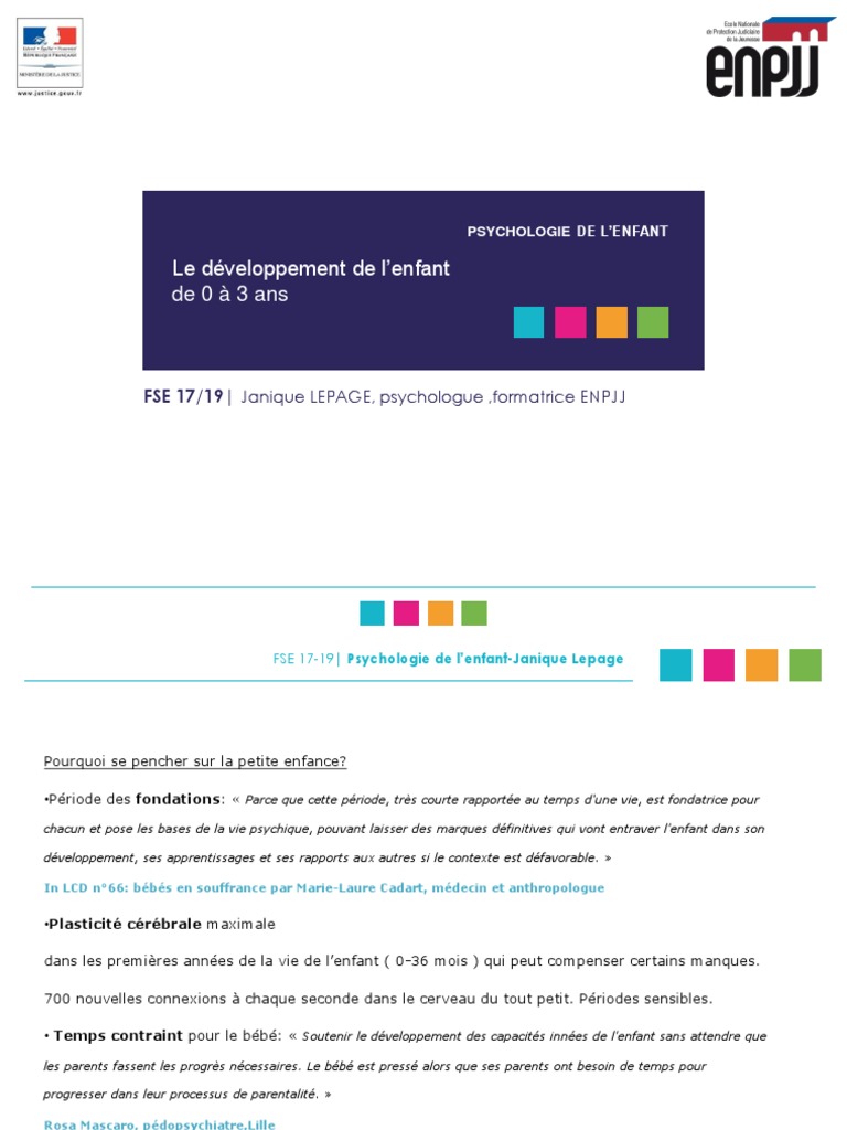 Fse 17 19 Le Developpement de Lenfant de 0 A 3 Ans | PDF