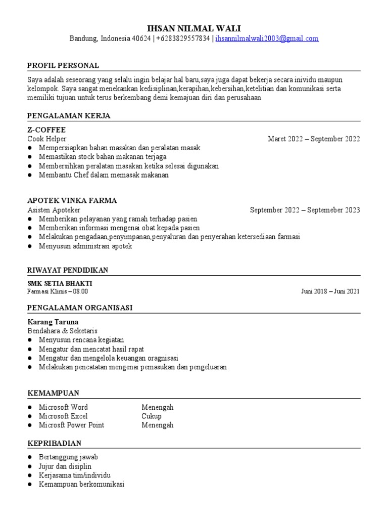 CV ATS Template | PDF