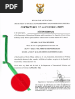 SASSA Disability Grant Affidavit Form | PDF | Divorce | Economies