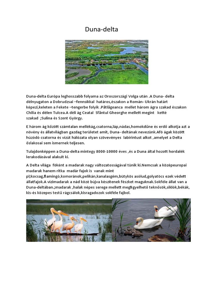 Duna Delta | PDF