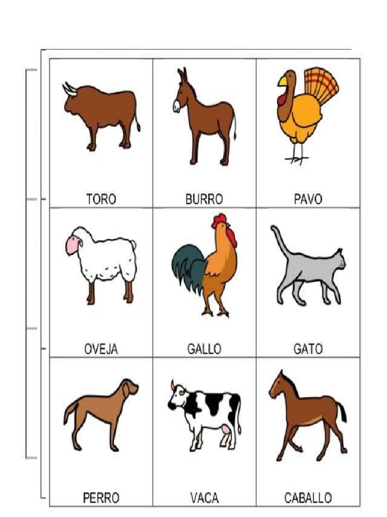 Loteria Animales Domesticos | PDF