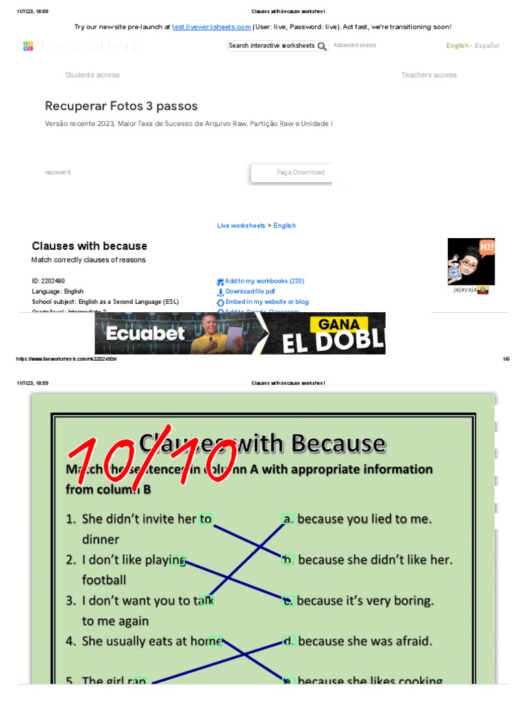 Clauses With Because Worksheet | PDF