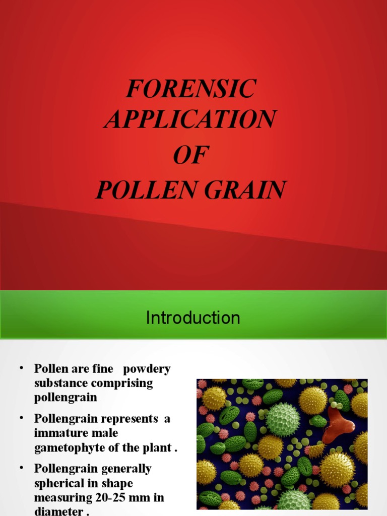 Pollen Grain | PDF