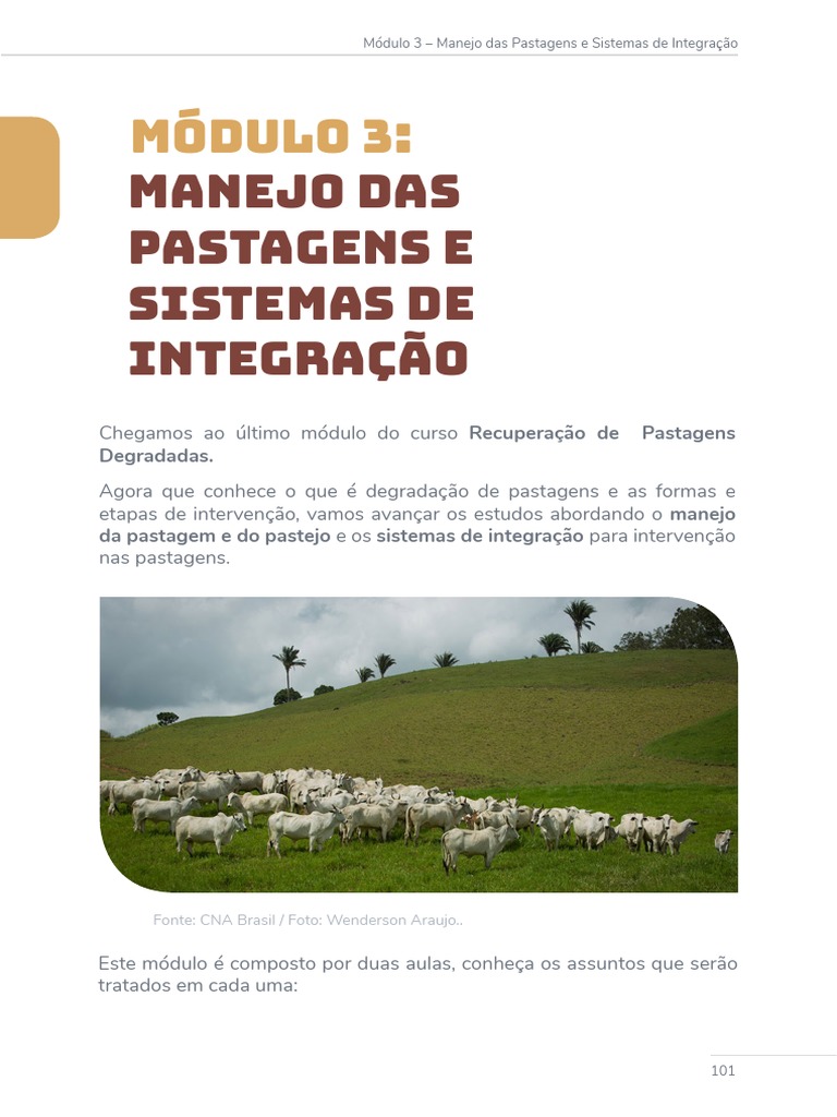 Modulo 3 | PDF