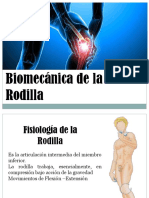 Linea de Feiss, Linea de Helbing | PDF | Pie | Anatomía humana