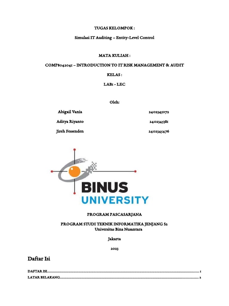 Entity Level Audit | PDF