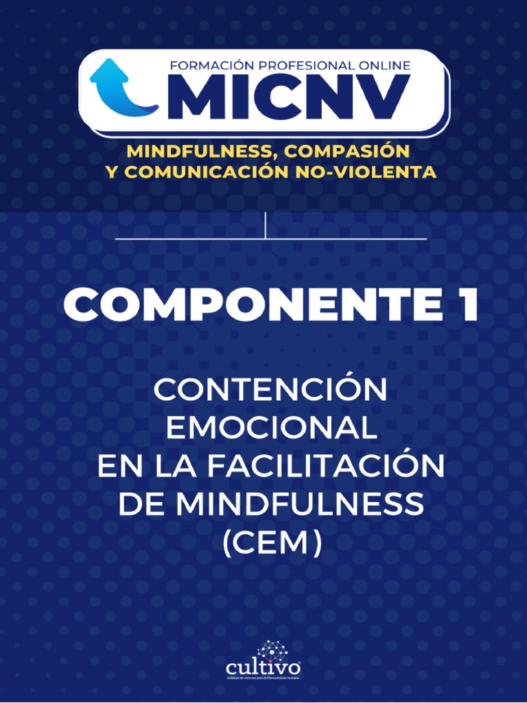 Manual CEM MICNV | PDF