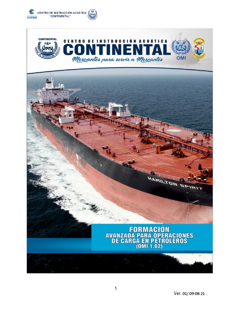 Separat. Omi 1.02 Petrol. Avanzado | PDF | Tecnología