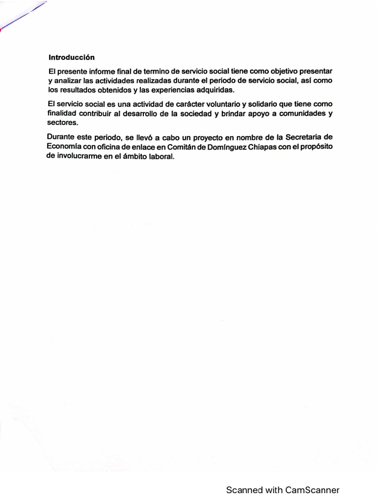 Reporte Final Servicio Social | PDF