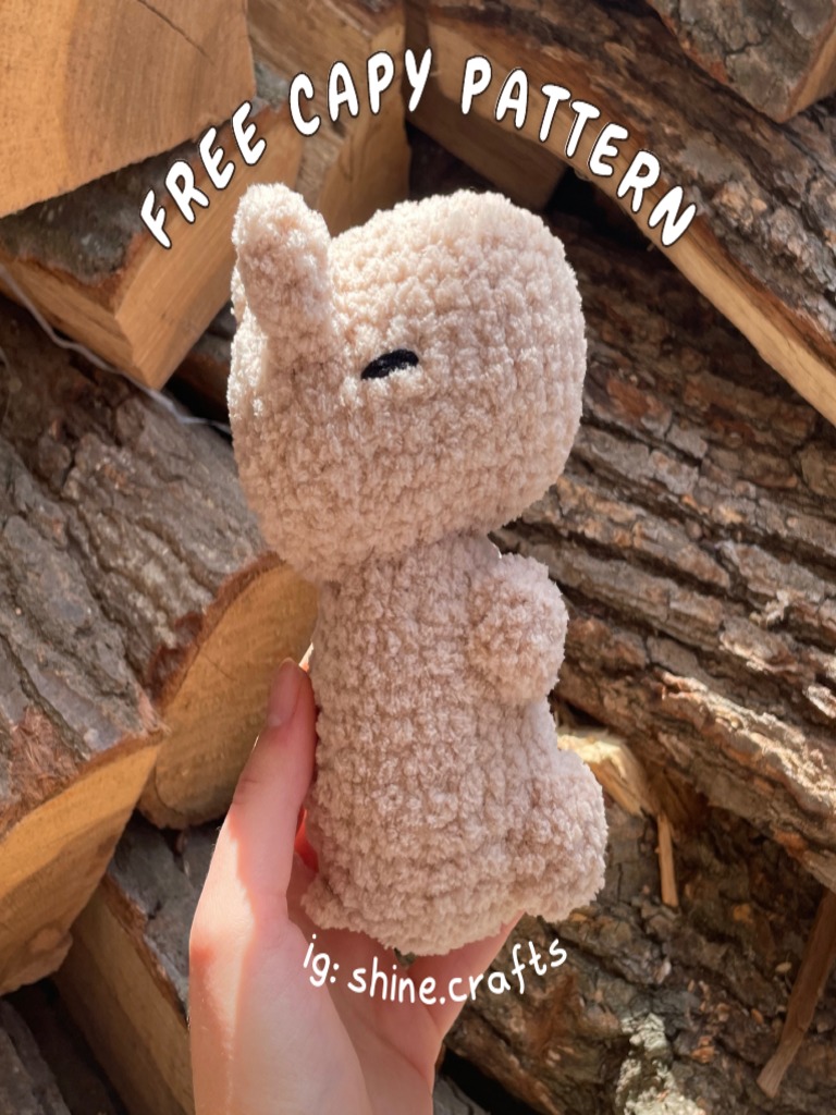 Free Pattern Capybara Insta | PDF
