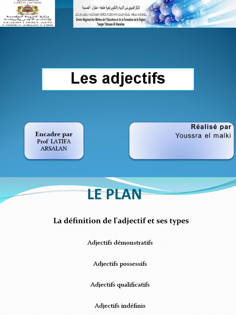 Les Adjectifs | PDF