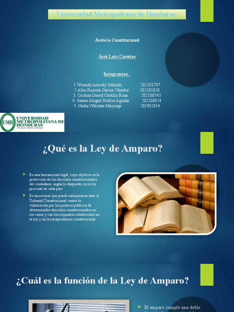 Presentacion Amparo | PDF