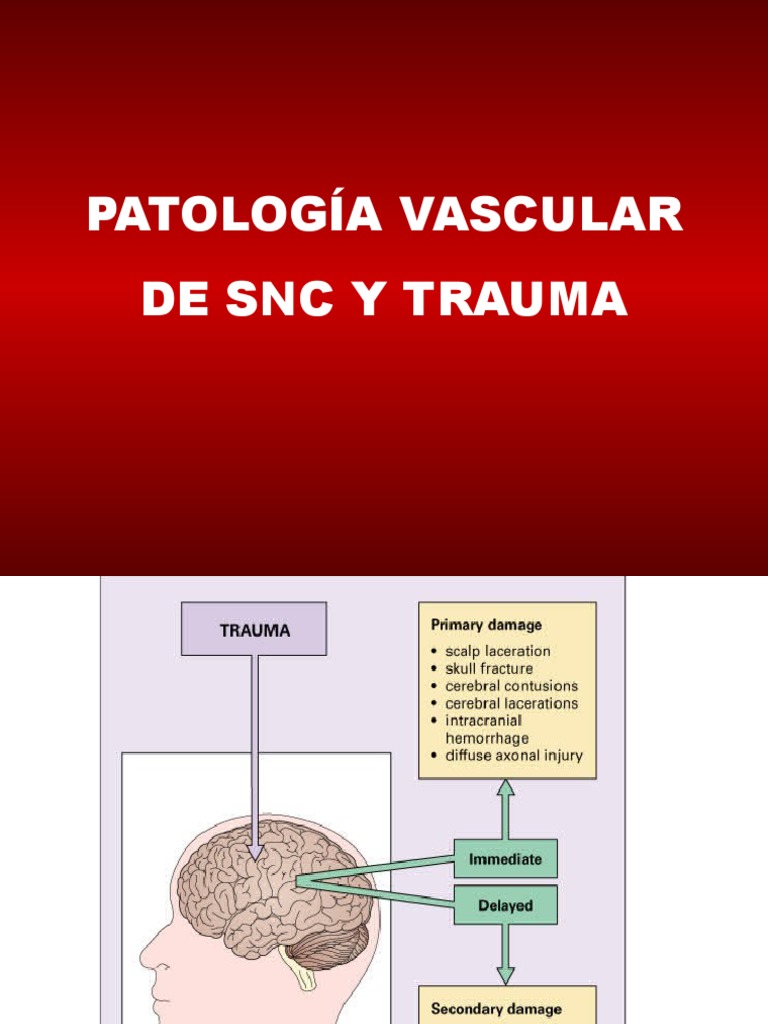Patología Vascular de SNC y Trauma | PDF