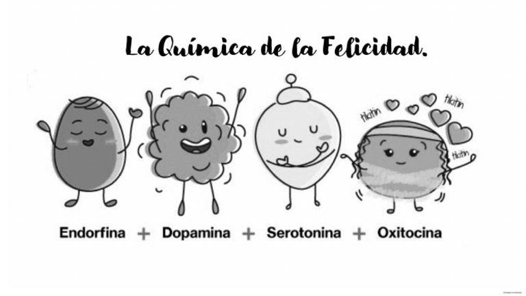 La Química de La Felicidad PDF | PDF
