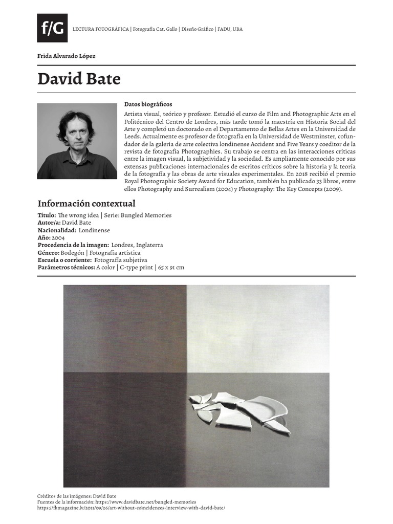 Fotógrafo David Bate | PDF | Imagen | Color