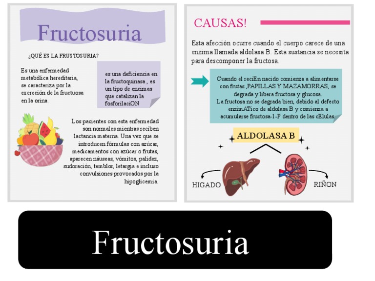 FRUCTUSURIA | PDF