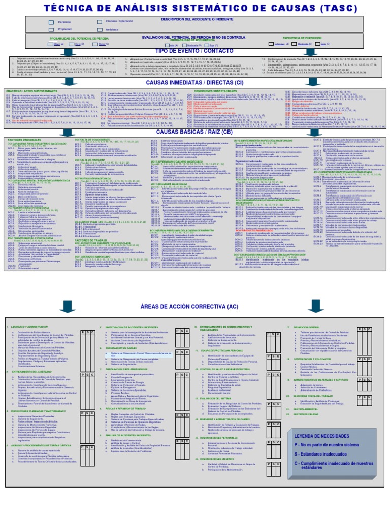Tasc DNV Rev-Avance | PDF | Higiene Ocupacional | Factores humanos y ...