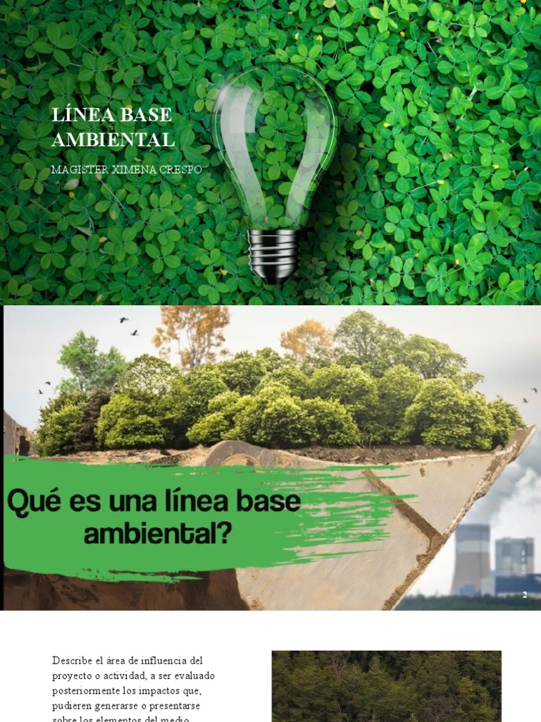 Línea Base Ambiental del Proyecto | PDF | Entorno natural | Clima