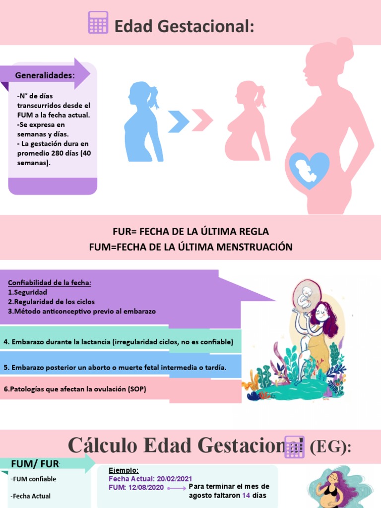Plantilla-de-Embarazo (1) | PDF