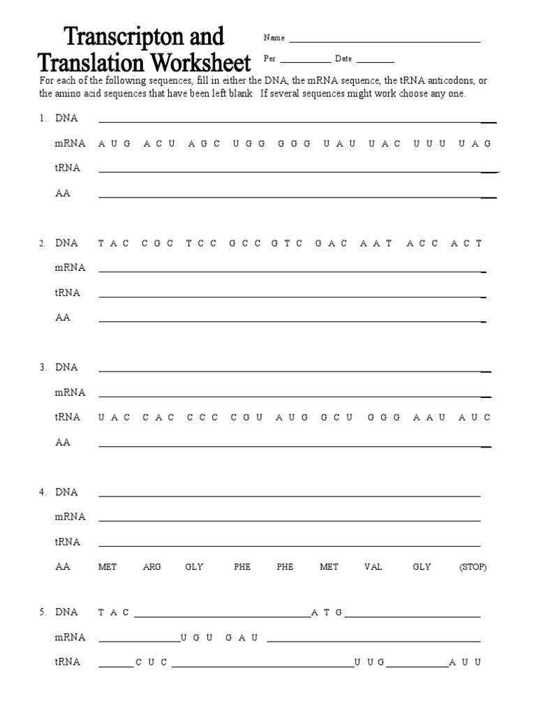 DNA Transcription and Translation Practice | PDF
