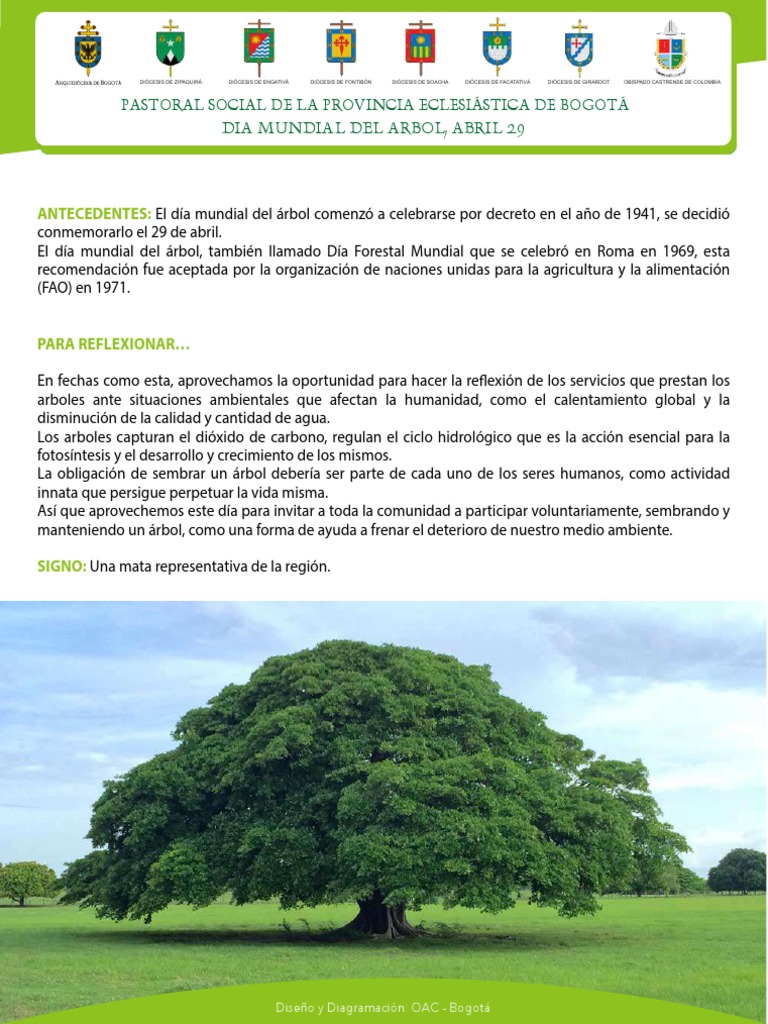 Dia Mundial Del Arbol Compressed | PDF