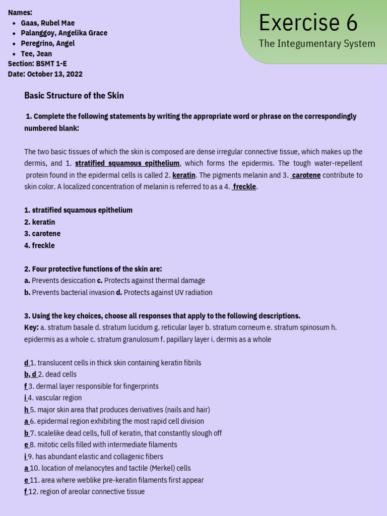 Anatomy and Physiology - Integumentary System | PDF