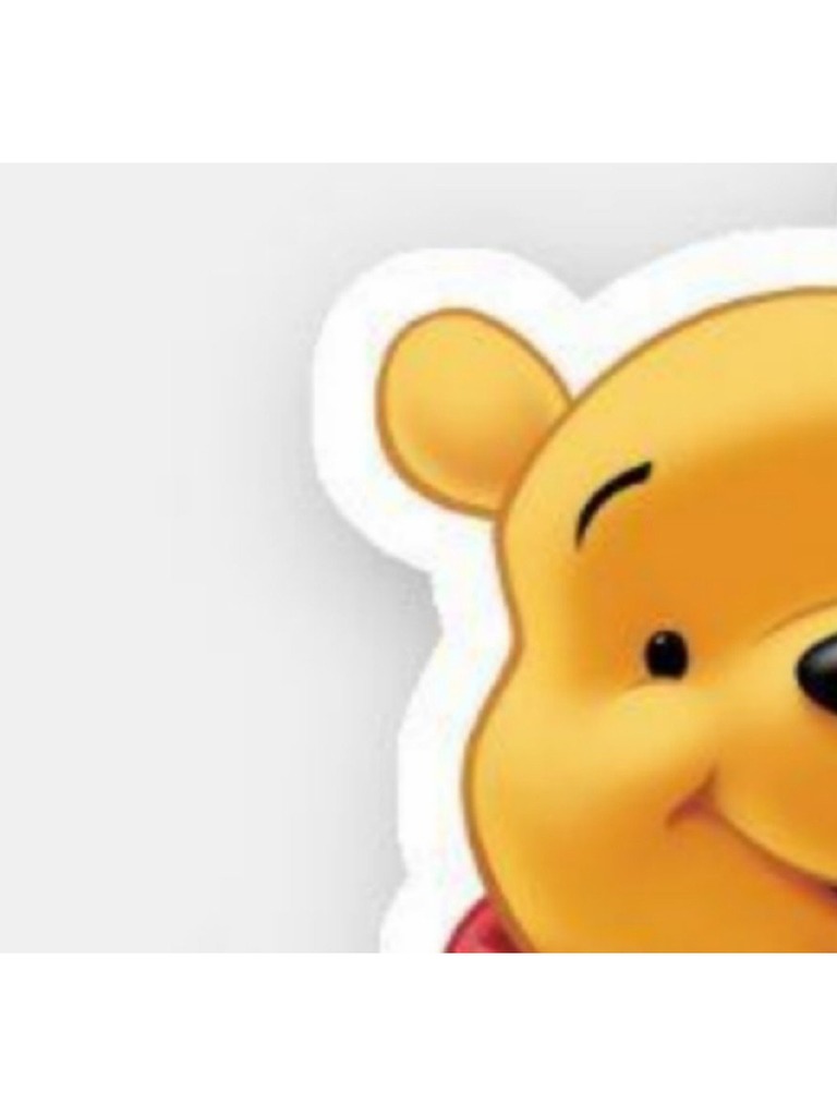 Winnie Pooh | PDF
