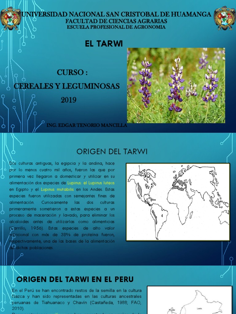 Cultivo y Origen del Tarwi en Perú | PDF | Hogar, jardinería y bricolaje