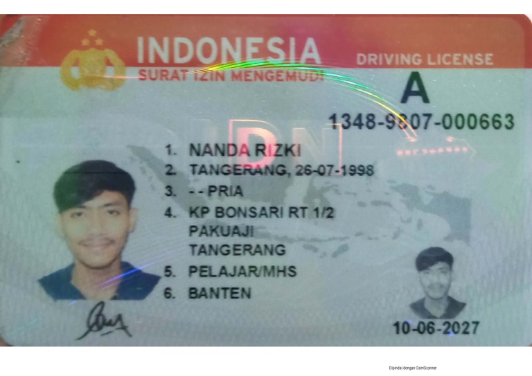 Scan SIM | PDF
