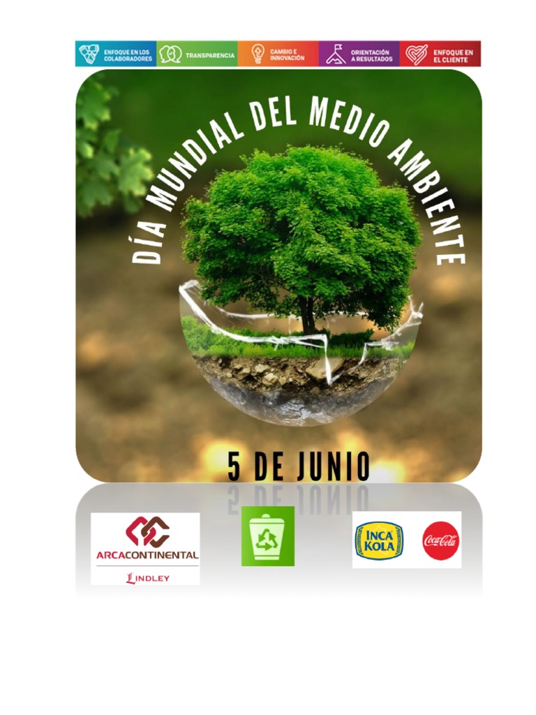 Dia Mundial Medio Ambiente | PDF