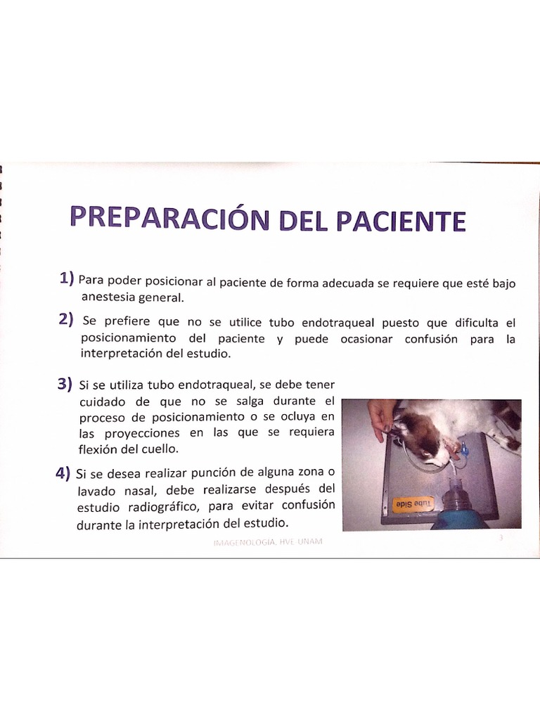Manual de Posicionamiento Radiográfico Para Cráneo | PDF