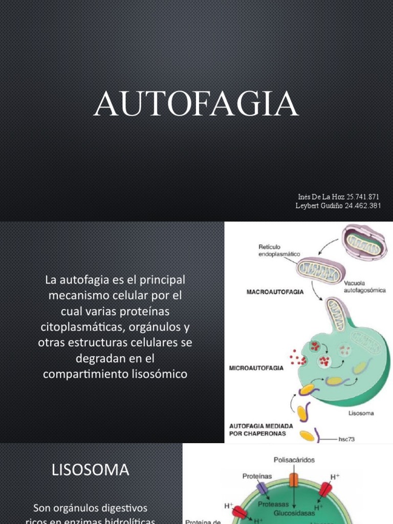 Autofagia | PDF