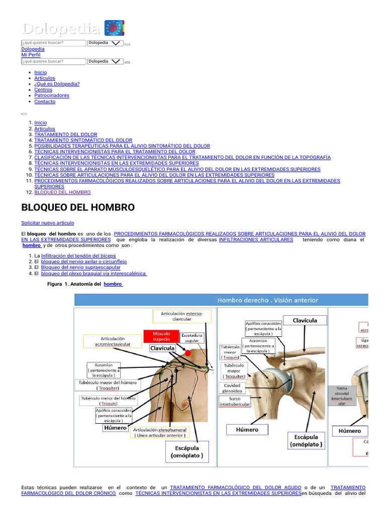 Bloqueo Del Hombro Dolopedia | PDF