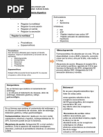 Fármacos Procinéticos: Tipos y Usos | PDF | Drogas Psicoactivas | Drogas