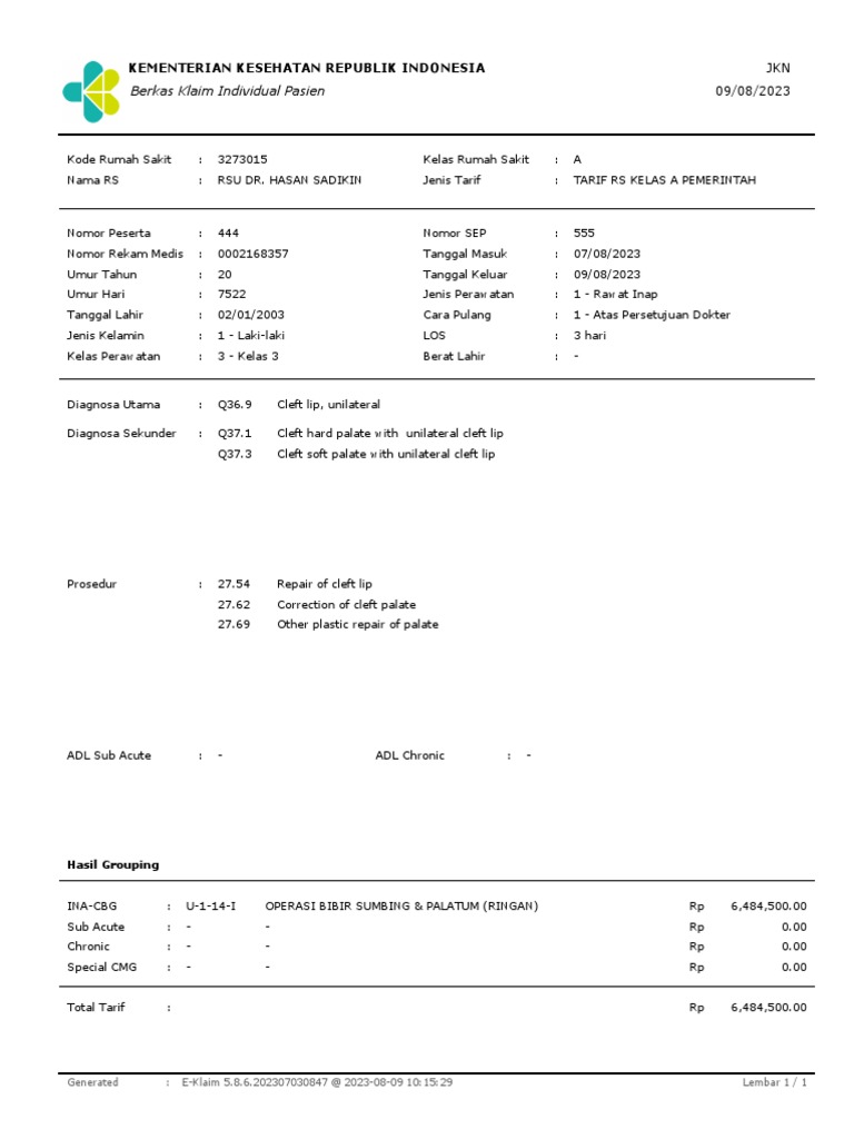 Inacbg - Jenal Aripi | PDF