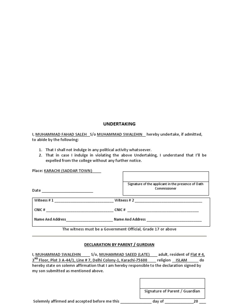 College Political Activity Undertaking | PDF