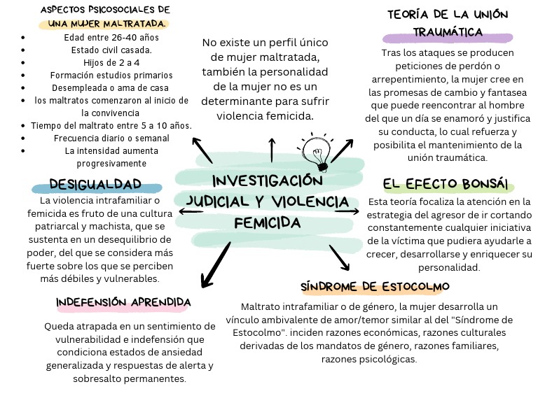 Mapa Conceptual Violencia Femicida | PDF | La violencia contra las mujeres | Violencia