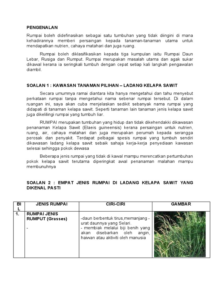 ASSIGMENT DAUN RUMPAI TANAMAN PEROSAK | PDF