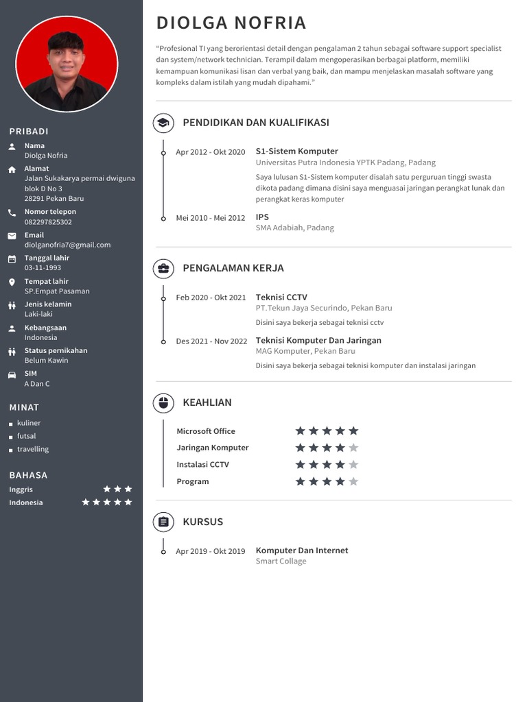 CV Diolga Nofria: Profesional TI | PDF