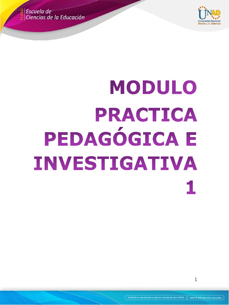 Módulo - Practica Pedagogica e Investigativa 1 | PDF