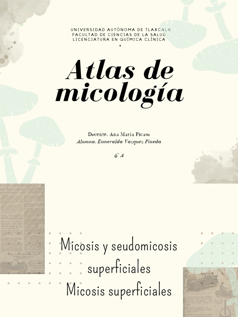 Atlas de Micología | PDF