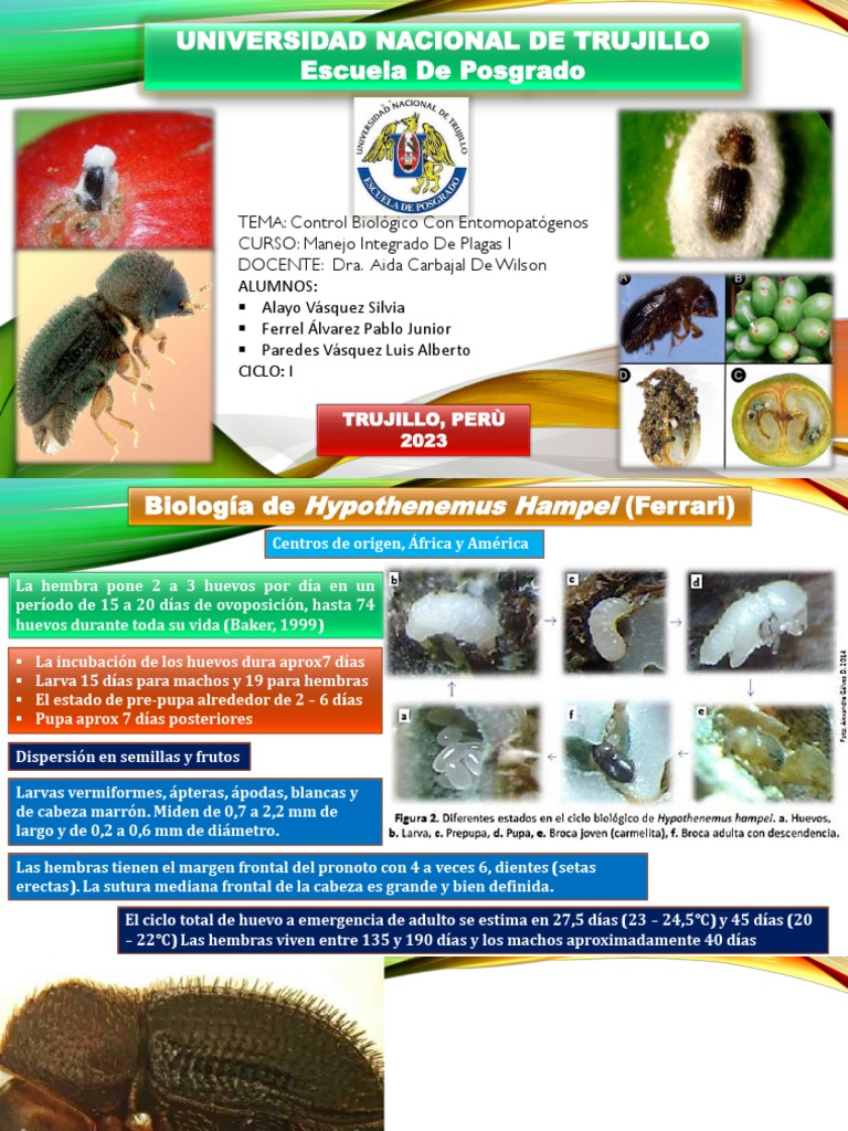 Control Biológico de Plagas con Hongos | PDF