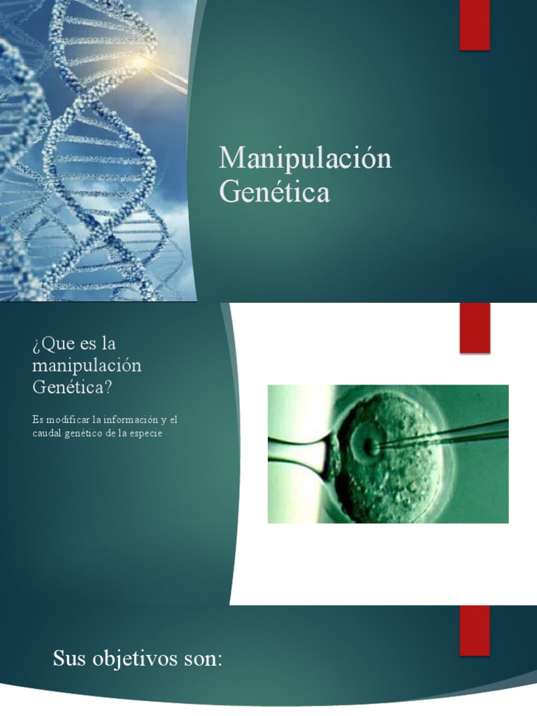 Manipulacion Genetica para Expociciones | PDF