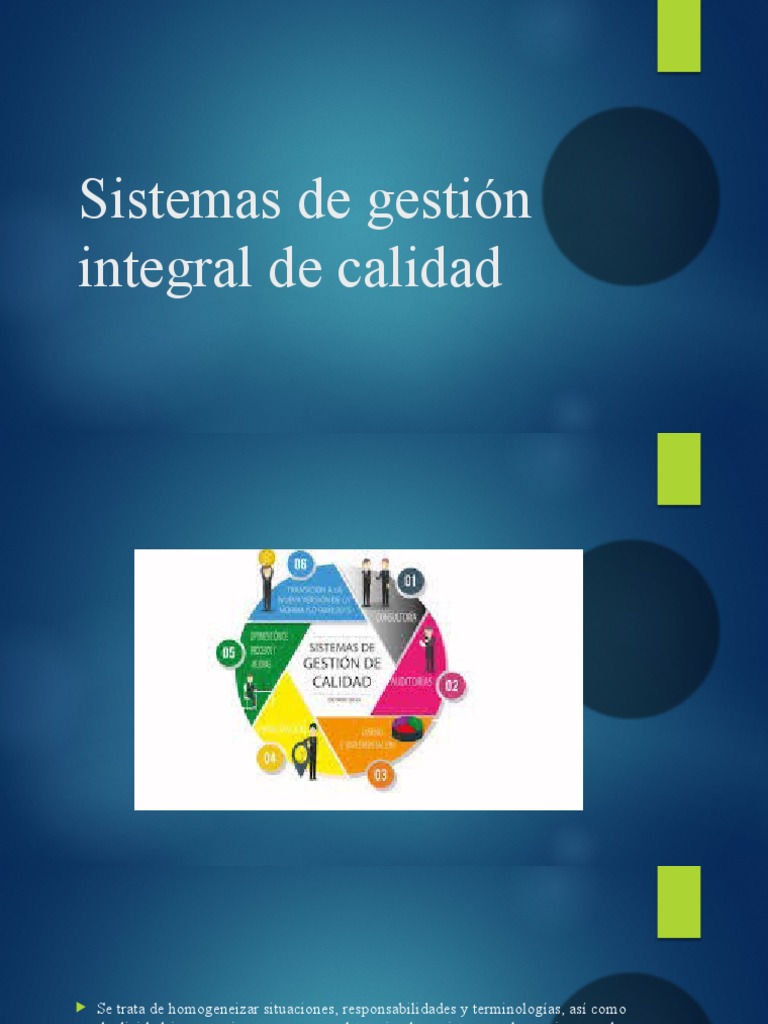 Sistemas De Gestión Integral De Calidad Pdf Business Economias