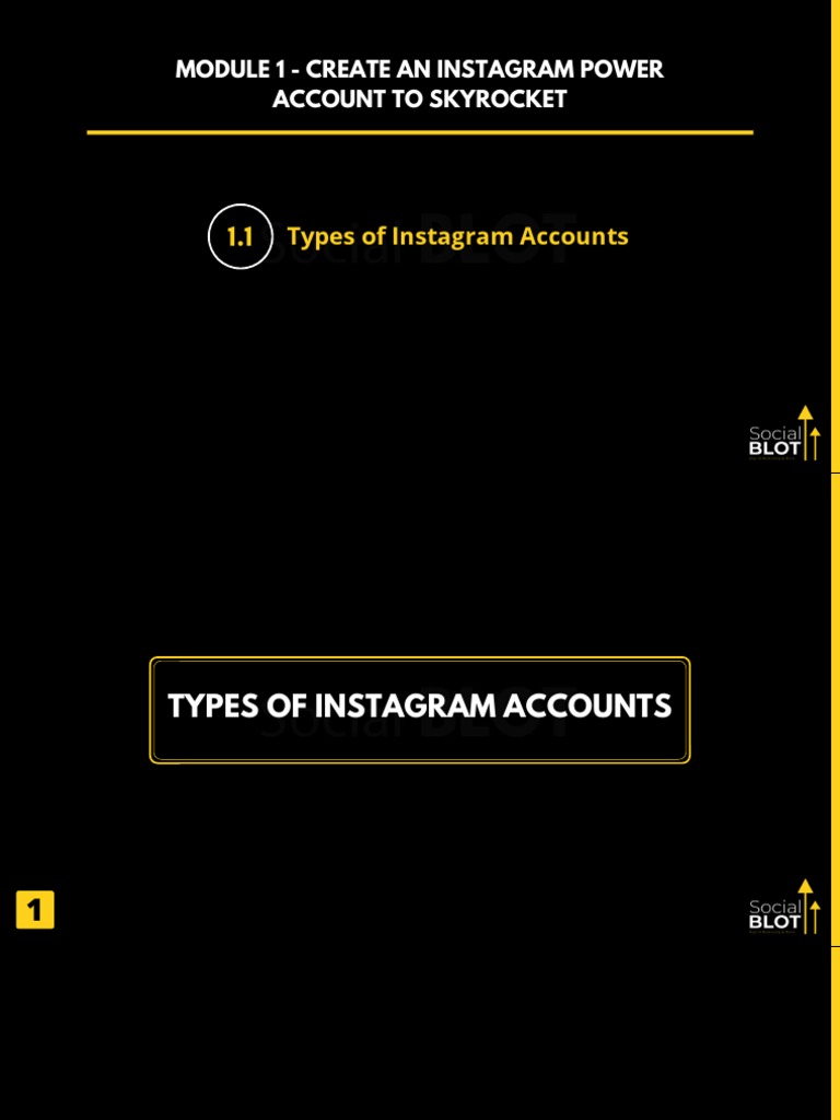 Types of Instagram Accounts Explained | PDF | Brand | Promotion And ...