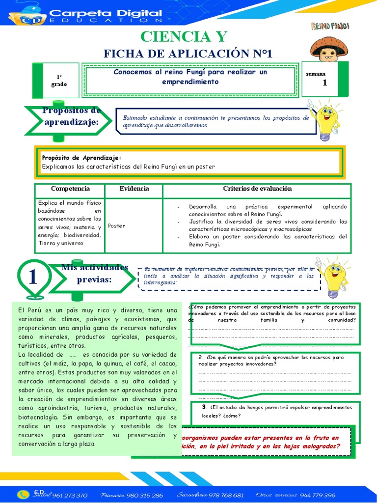 1° Ficha de Aplicación-Sesión1-Sem.1-Exp.5-Cyt | PDF