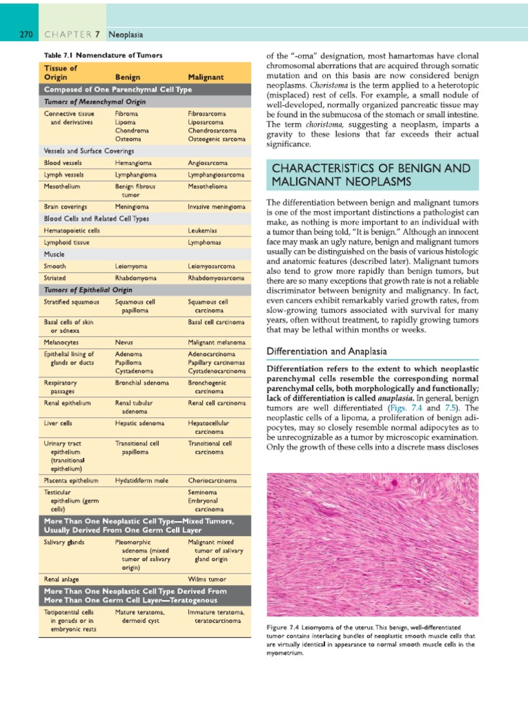 Neoplasm nomenclature-1 | PDF