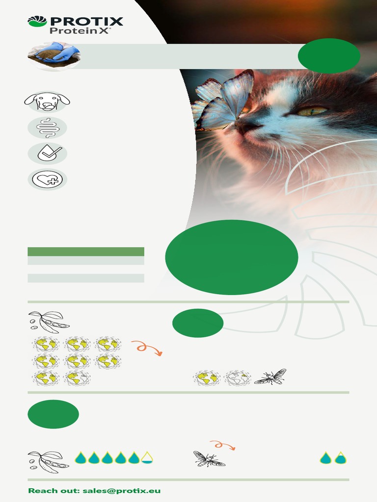 Protix_ProteinX_infosheet-pet-food | PDF